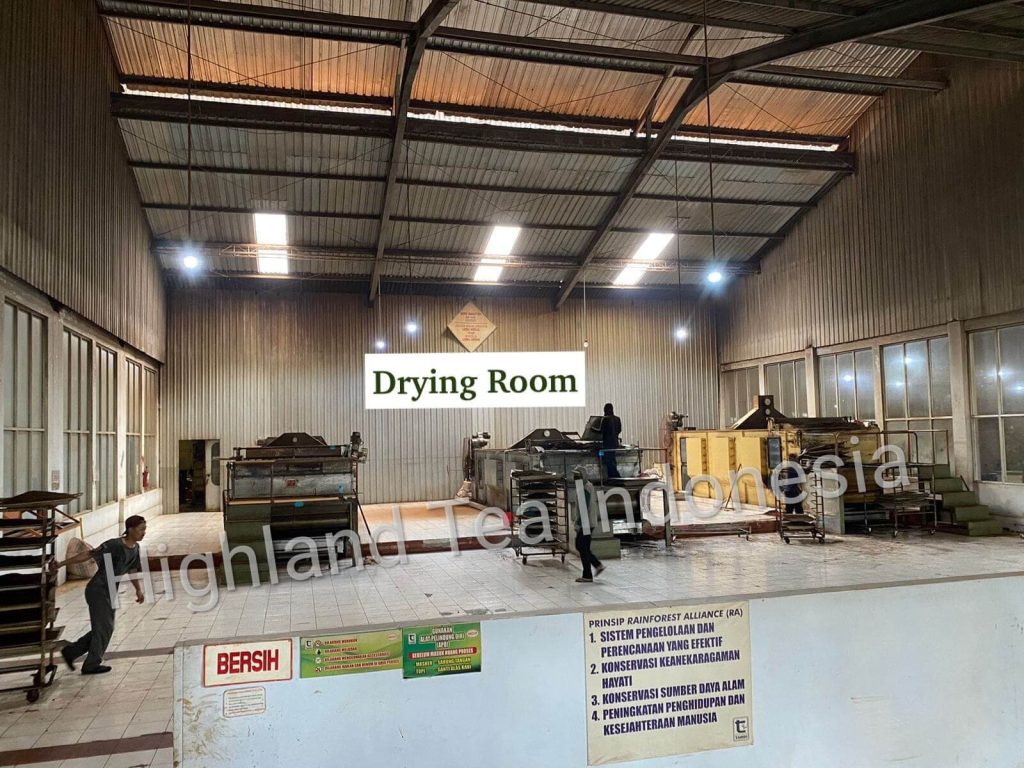 Best Tea Supplier – From Indonesia